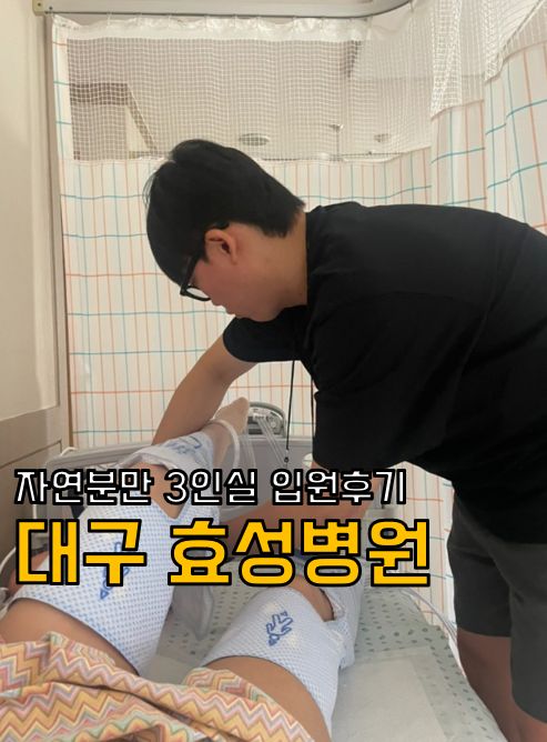 효성병원 자연분만 후 입원후기3인실 자연분만 준비물아기면회 자연분만 비용 네이버 블로그