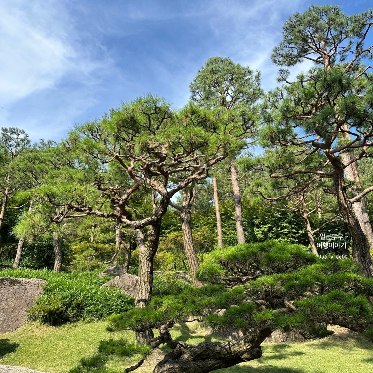 곤지암리조트 화담숲 산책로 힐링 화담채 까지 입장료 모노레일 정보 네이버 블로그