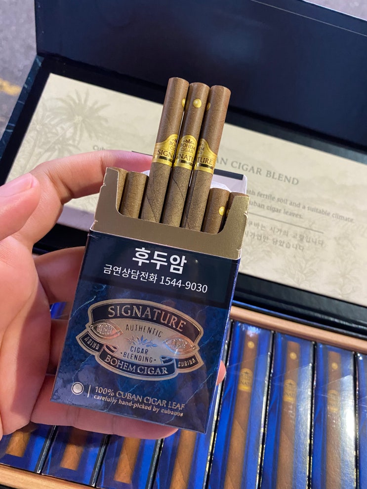 보헴시가 시그니처 BOHEM CIGAR SIGNATURE : 네이버 블로그