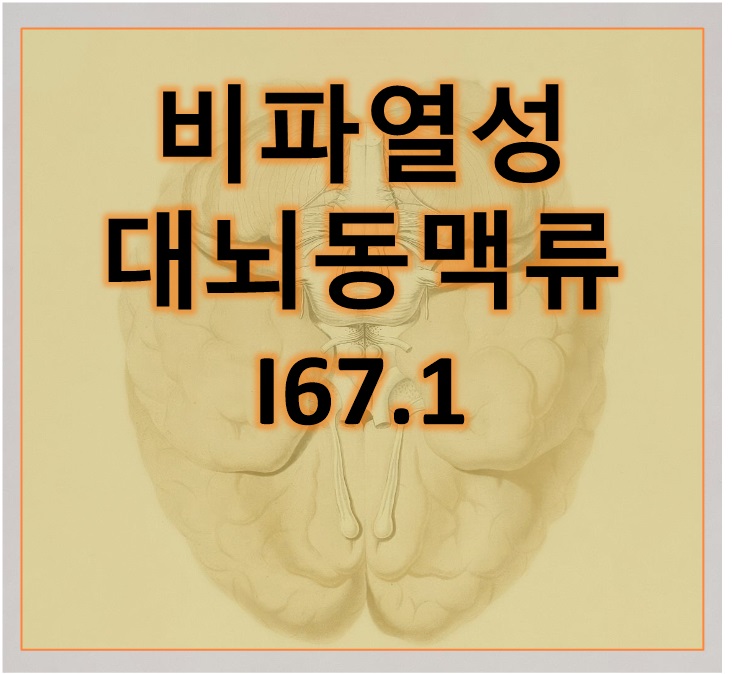 비파열성 대뇌동맥류 I67.1 뇌혈관진단비 분쟁을 해결하기 위해서는 : 네이버 블로그