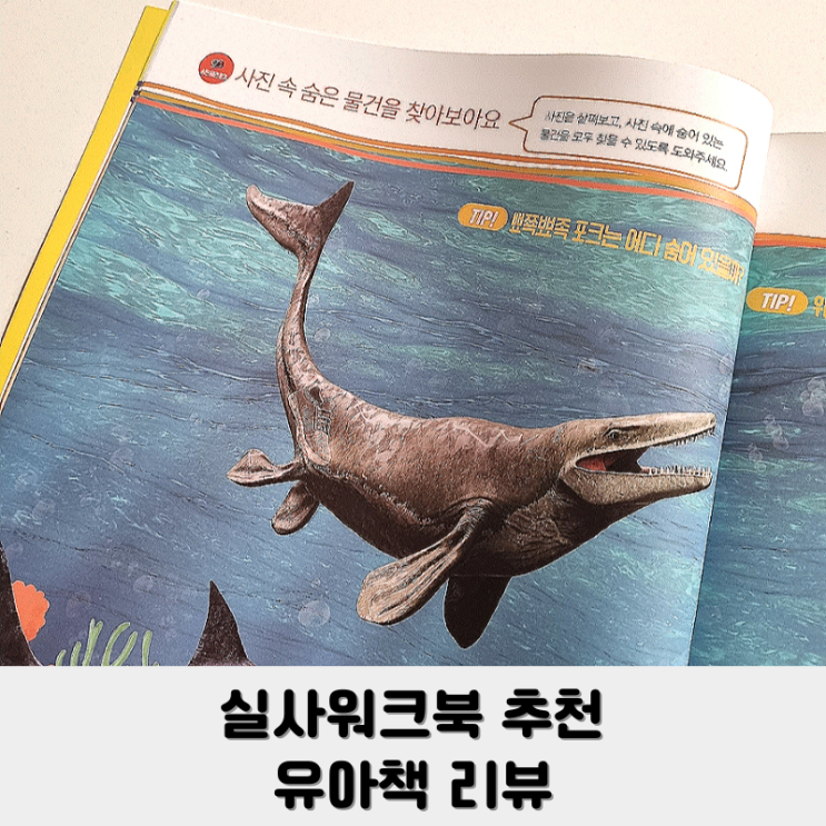 아동책 추천 훈민출판사 실사워크북 유아놀이 활동하기 좋아요 네이버 블로그