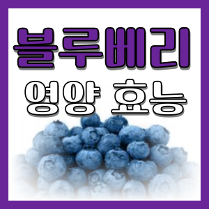 블루베리 제철은 언제일까요? 섭취량, 효능 : 네이버 블로그