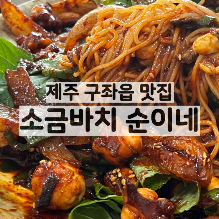 제주 제주시 동쪽 구좌읍 돌문어볶음 맛집 소금바치 순이네 주말웨이팅 네이버 블로그