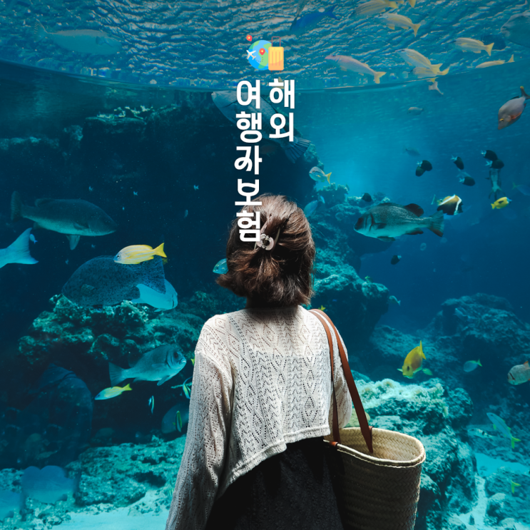 해외 여행자보험 비교 일본 여행 준비물 단기 가격 체크 네이버 블로그