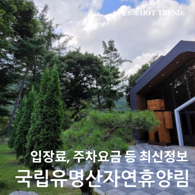 국립 유명산자연휴양림 최신정보 입장료 주차요금 계곡 데크 캠핑 트래킹코스 네이버 블로그