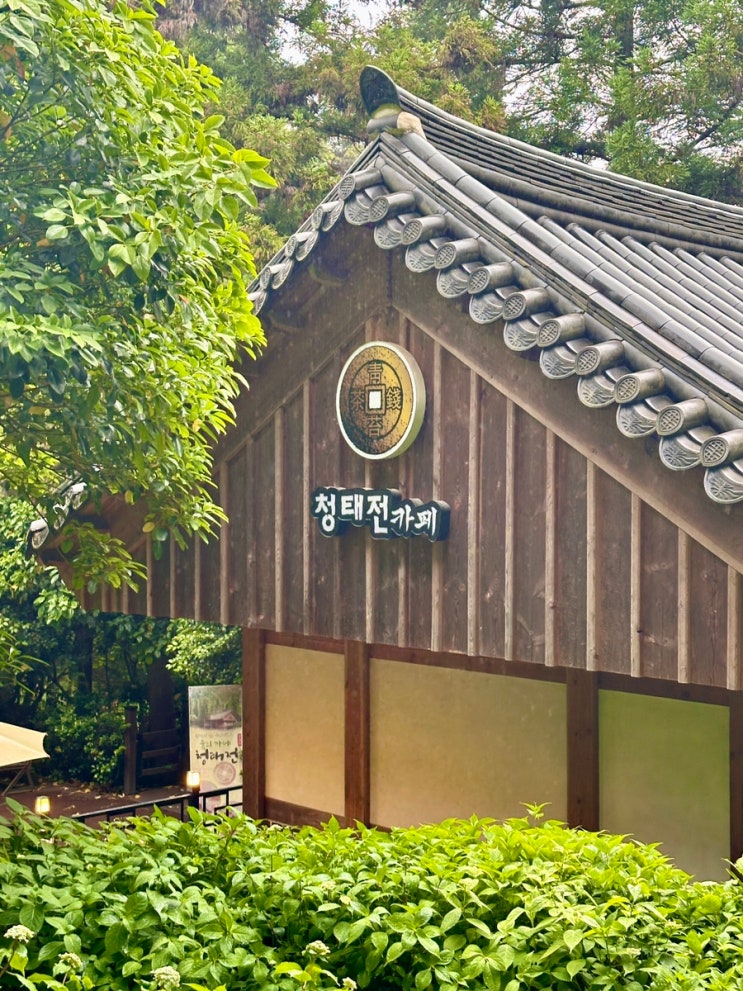 장흥 편백숲 우드랜드 청태전 카페 : 네이버 블로그