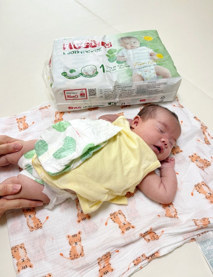 기저귀1단계부터 팬티기저귀까지 하기스 네이처메이드 추천 : 네이버 블로그