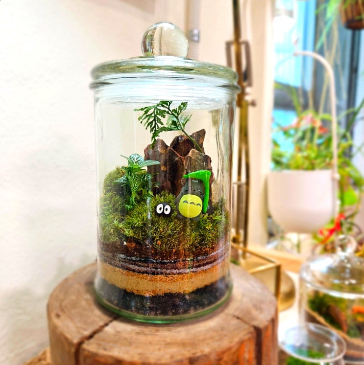 남포동데이트 부산 테라리움 가드닝 클래스 쏘슬로우 플랜트랩 : 네이버 블로그