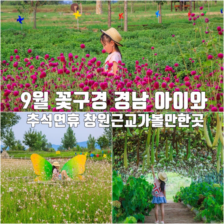 창원 근교 가볼만한곳 아이와 경남 꽃구경 드라이브 코스 대산 플라워랜드 네이버 블로그