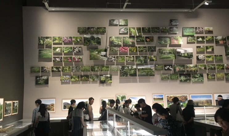 🎱 : 네이버 블로그