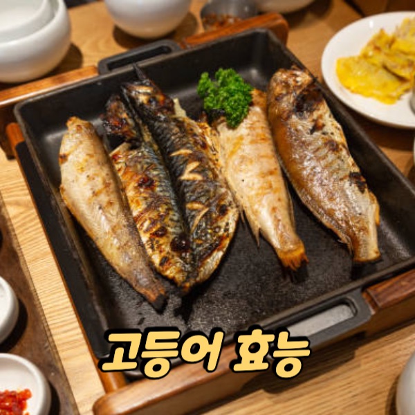 고등어 효능 영양성분 부작용 및 섭취 주의 사항 알아봐요 네이버 블로그