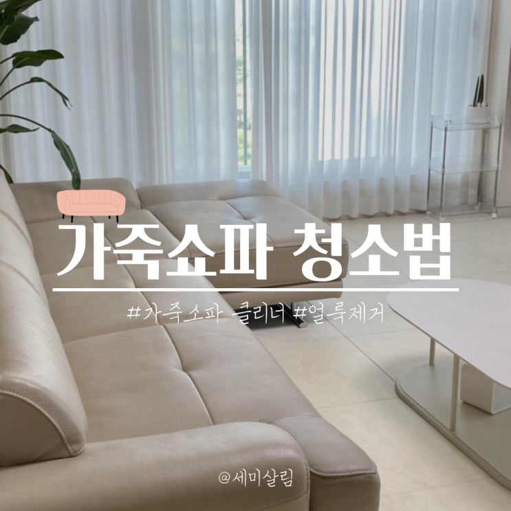 가죽 쇼파 청소 얼룩 제거 및 시트 관리 방법 네이버 블로그