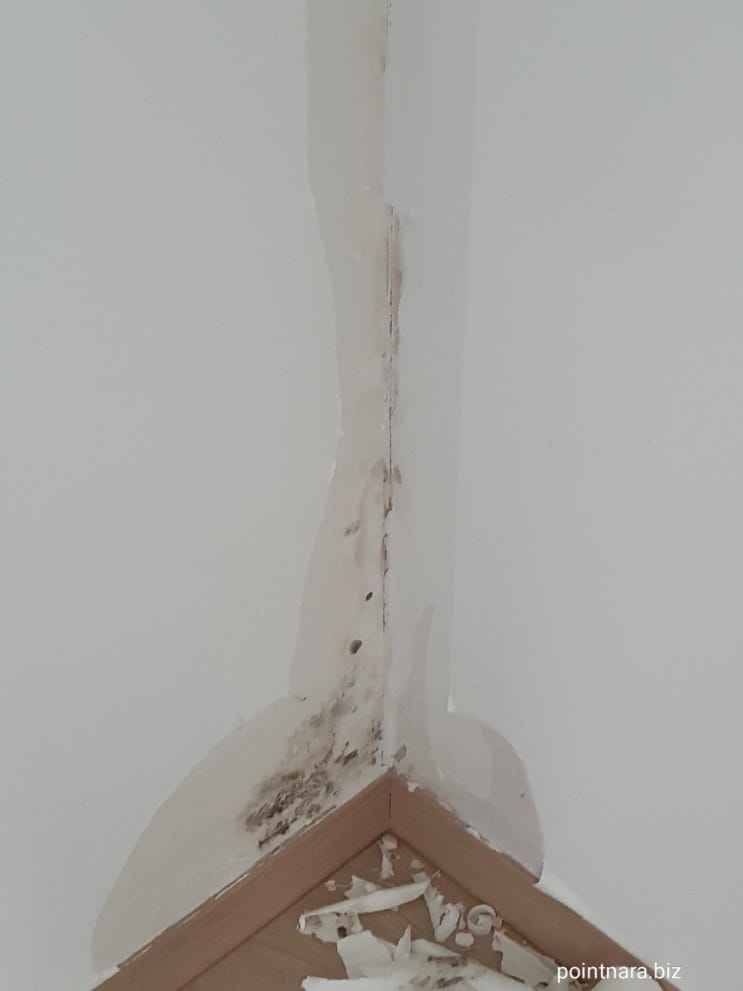 오산시티자이1단지아파트 25평형 살림집 작은방 벽면 실크벽지 부분도배 And 창문쪽 결로현상 단열페인트 노팡시공 네이버 블로그