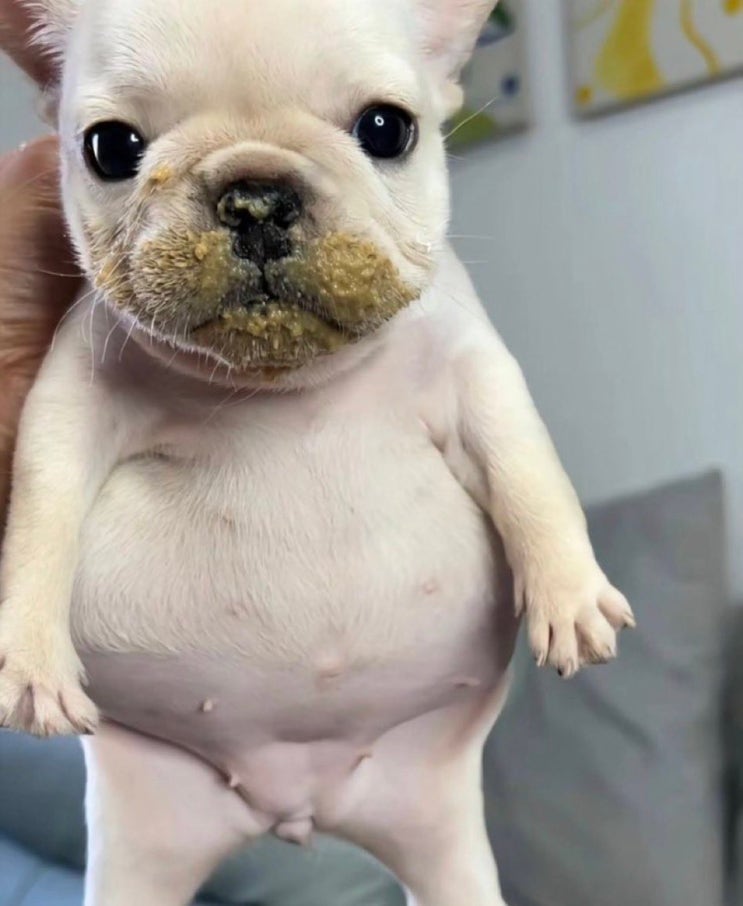 Ep3. 오픽 재수한 사람 나야나! OPIc IM1에서 IH 후기 : 네이버 블로그