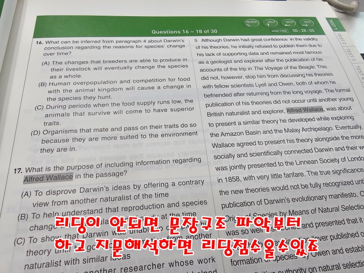 영어기본문법 초보자를 위한 필수가이드 정리 네이버 블로그
