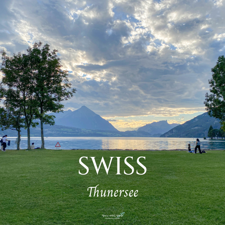스위스 튠호수 유람선 시간표 피크닉 수영 가능한 곳 : 네이버 블로그