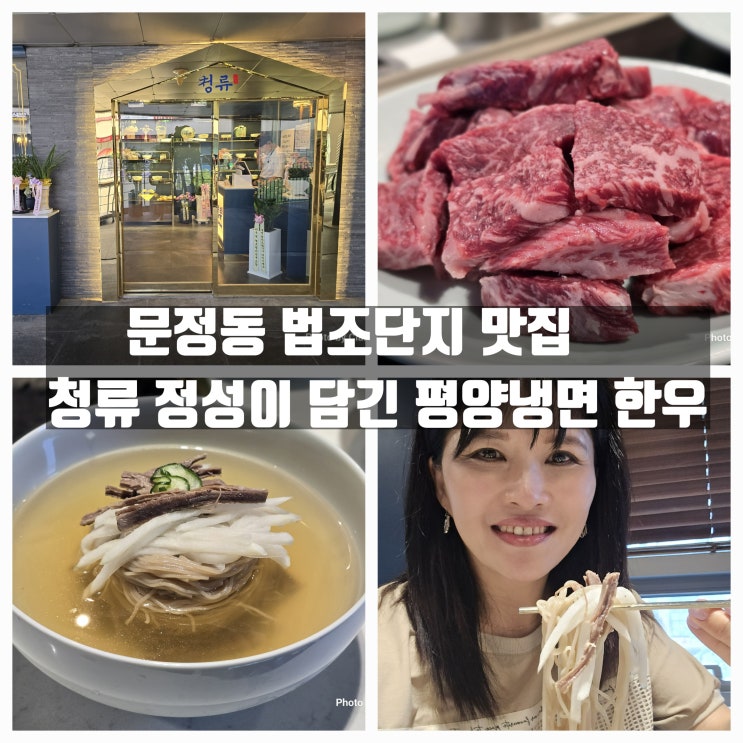 문정동 법조단지 맛집 청류 정성이 담긴 평양냉면 한우 네이버 블로그