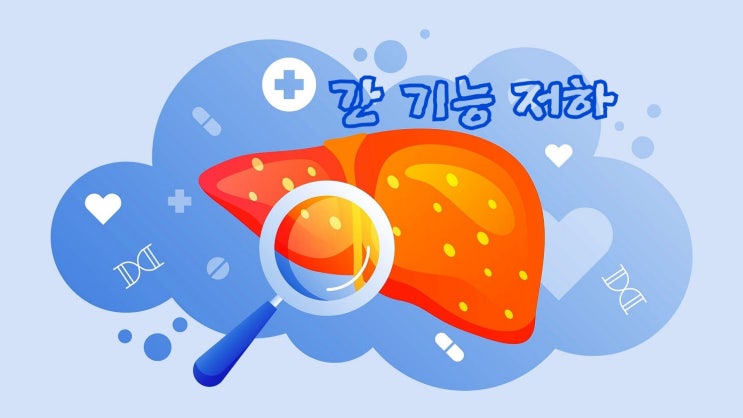 간기능 저하 간수치 정상범위 지방간 간경화 간경변 간암 원인 증상 치료 네이버 블로그