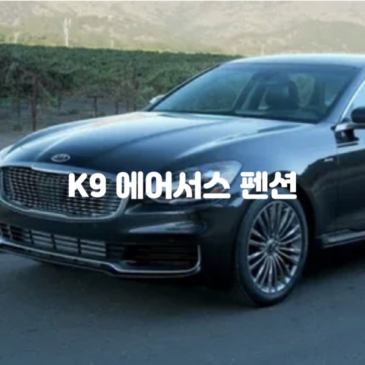 K9 에어서스 펜션은 완벽한 승차감을 위한 선택 입니다. : 네이버 블로그