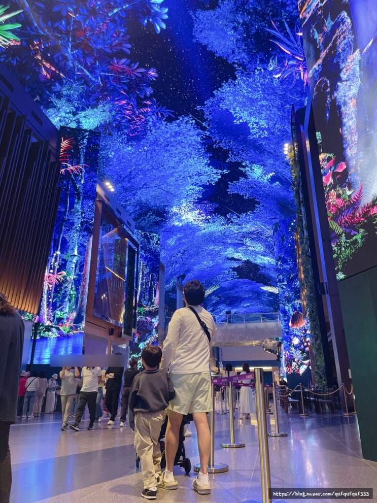 인스파이어 아이와갈만한곳 선타워 스위트룸 스플래시베이 오로라 : 네이버 블로그