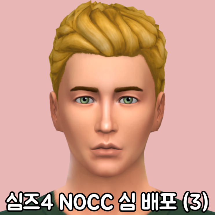 [심즈4심배포] 기본 심 '브로크 더스틴' NOCC 수정 배포 : 네이버 블로그