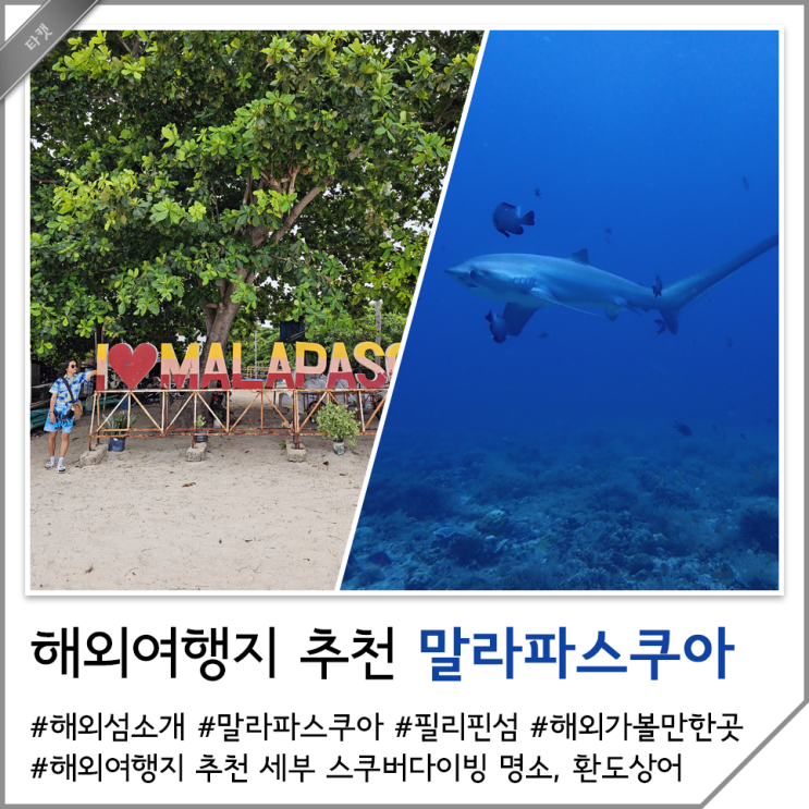 해외여행지 추천 필리핀섬 세부 스쿠버다이빙 명소 말라파스쿠아 섬 여행 네이버 블로그