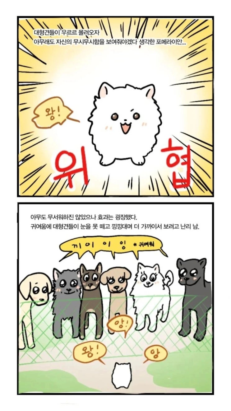 소형견을 본 대형견들.manhwa : 네이버 블로그