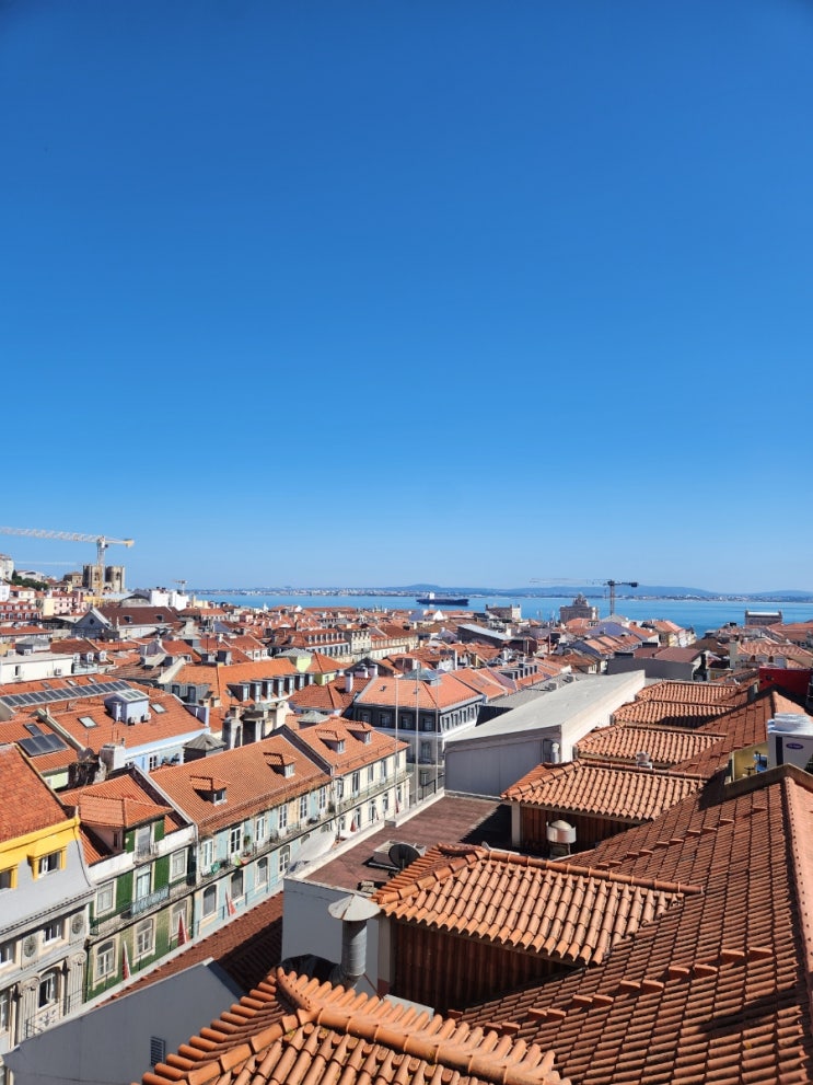 [24년 下] 포르투갈 가족여행 - 리스본 2일차 : 네이버 블로그