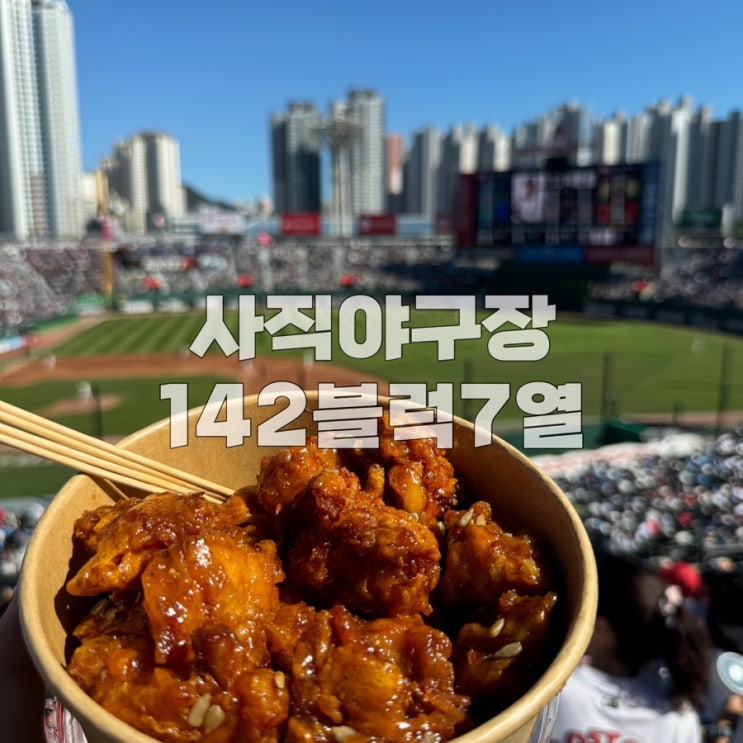 [ 사직야구장 ] 142블럭 7열 / 2시 직관 후기 : 네이버 블로그