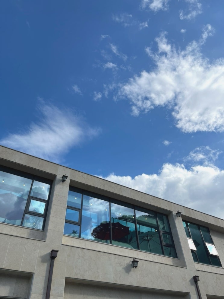 음성 대형카페 스완카페 베이커리 드라이브 맛집 : 네이버 블로그