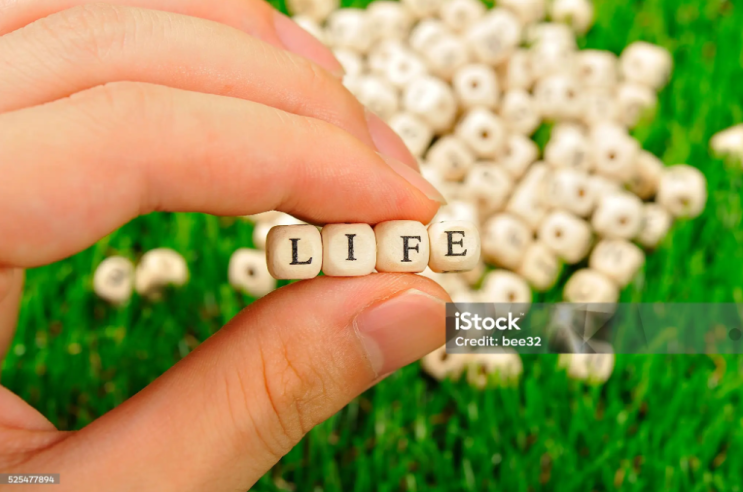 Isfp 여자의 모든 것장단점 이상형 궁합 팩폭 등 네이버 블로그
