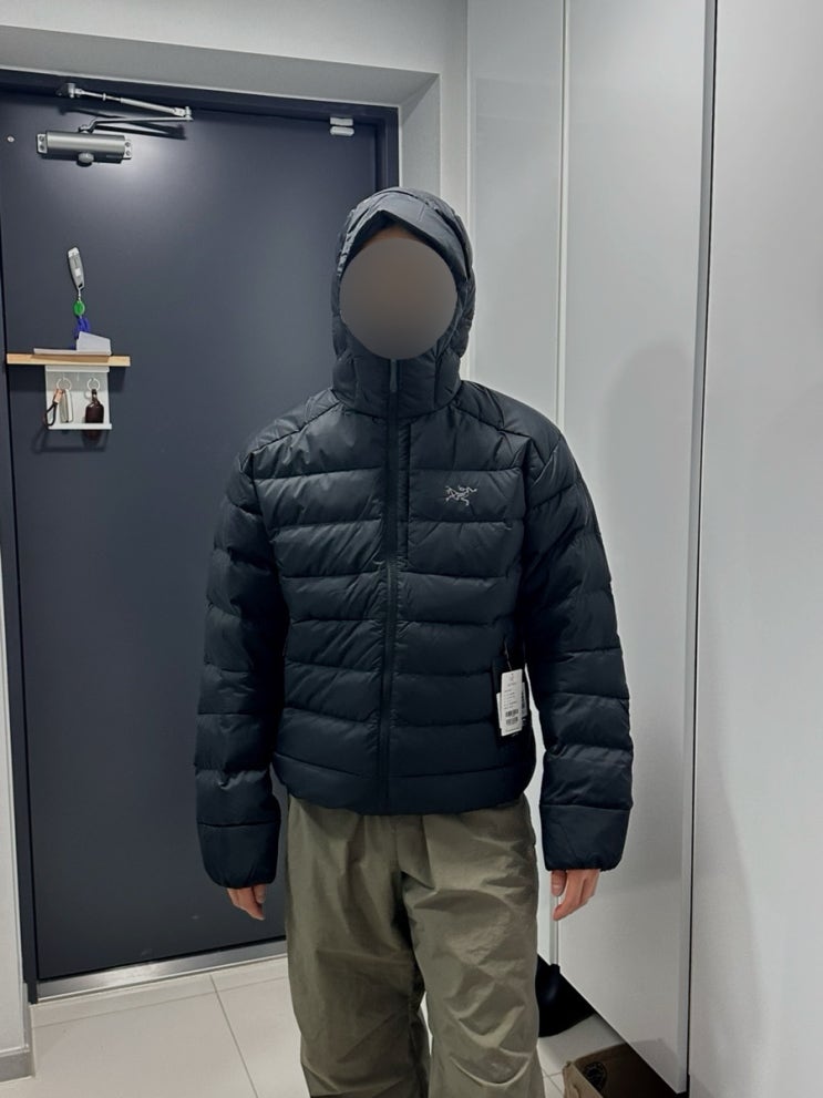 아크테릭스 24FW 토륨 후디 L : 네이버 블로그