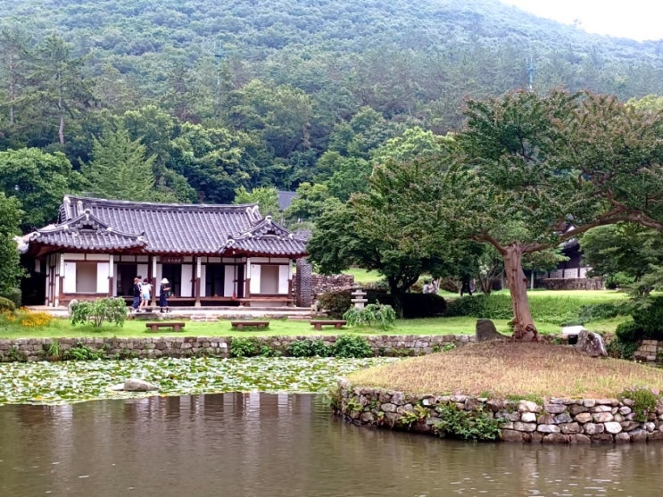 전남 여행 진도 가볼만한곳 진도 운림산방 입장료 소치기념관 네이버 블로그