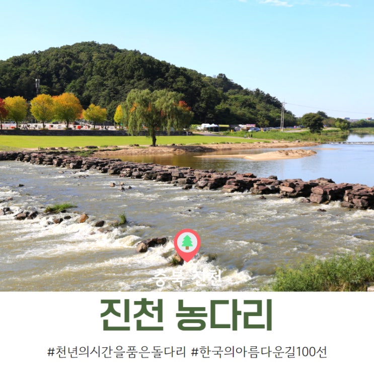 충북 진천 가볼 만한 곳 : 진천 농다리, 천 년의 시간을 품은 돌다리 : 네이버 블로그