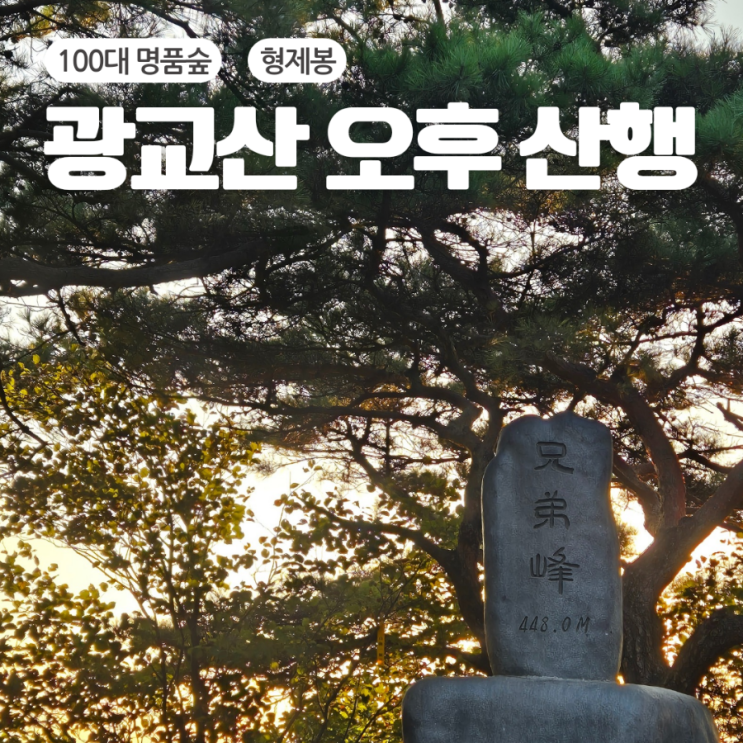 광교산 오후 산행 후기 반딧불이 화장실 형제봉 코스 광교 공영주차장 네이버 블로그