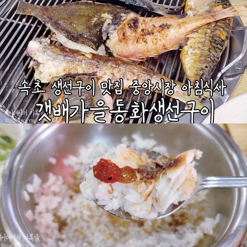 속초 생선구이 맛집 중앙시장 아침식사 가격정보 갯배가을동화생선구이 네이버 블로그