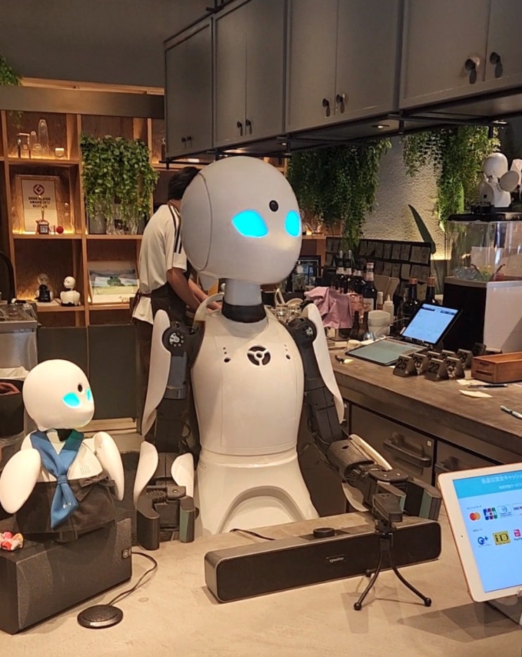 도쿄 아바타 로봇 카페 DAWN Avatar Robot Cafe ver β : 네이버 블로그