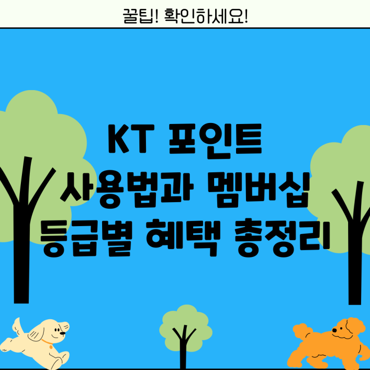 KT 포인트 사용법과 멤버십 등급별 혜택 총정리 : 네이버 블로그