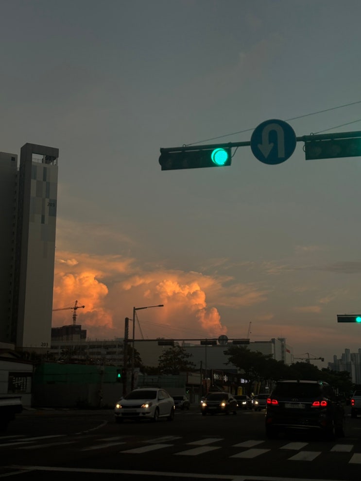 행복의 기원 : 네이버 블로그