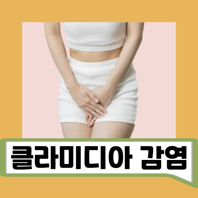 클라미디아 감염 원인 및 성병 여부 남자 여자 증상 차이 치료 기간 네이버 블로그