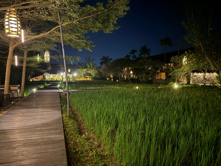 발리 우붓에서 제일 핫플 식당 피손우붓 Pison Ubud : 네이버 블로그