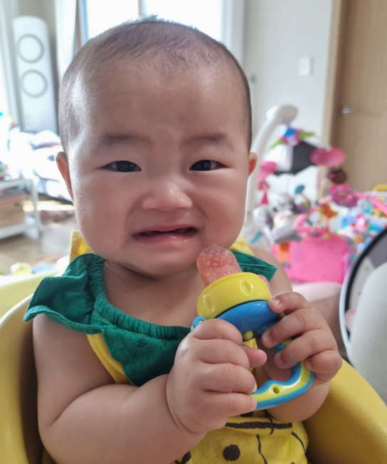 아기 과일 시기 사과 바나나 참외 블루베리 멜론 배 딸기 귤 언제부터 네이버 블로그