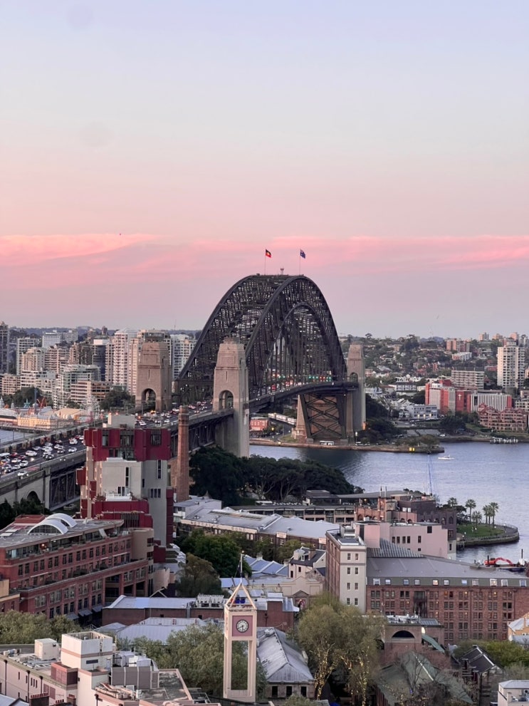 저렴한 시드니직항 티웨이항공 TW501 TW502 후기 🩵 + 준비물 : 네이버 블로그