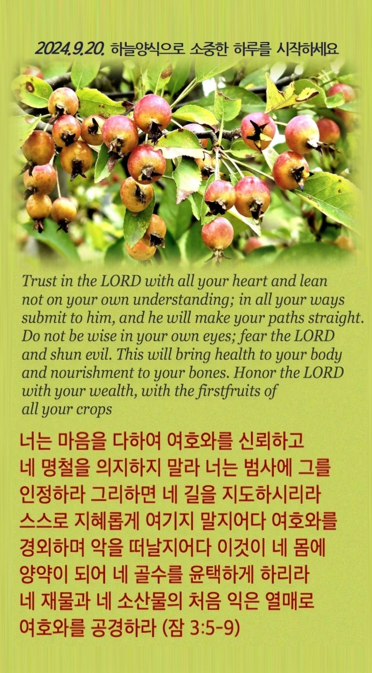 20240920~ 고린도전서 2장 5절'너희 믿음이 사람의 지혜에 있지 아니하고 다만 하나님의 능력에 있게 하려 하였노라' 오늘 주신 말씀 : 네이버 블로그