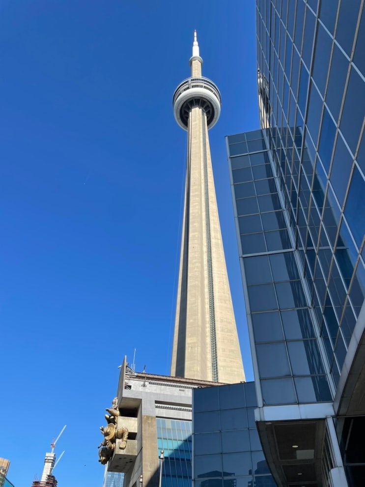 [여행] 캐나다 토론토 미국 뉴욕 여행 1-2일차 (2024. 9. 1. - 2024. 9. 11) : 네이버 블로그