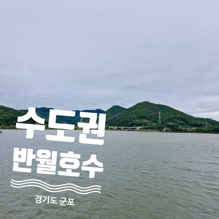 수도권 걷고 멍 때리기 좋은 곳 군포 반월호수 축제로다 네이버 블로그