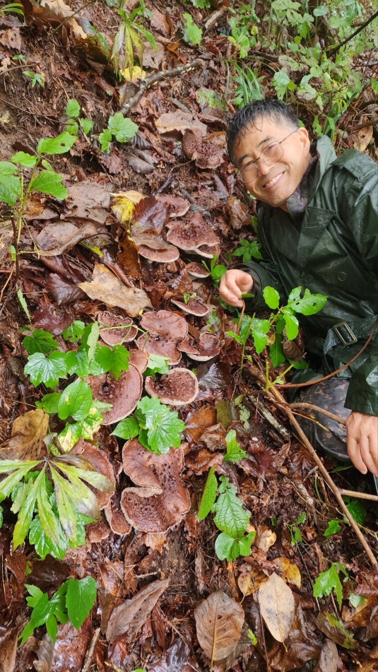 첫능이 산행 : 네이버 블로그