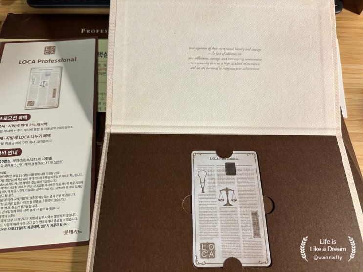 롯데카드 LOCA 로카 프로페셔널 - 국세, 지방세 나누기 가능여부 ? : 네이버 블로그