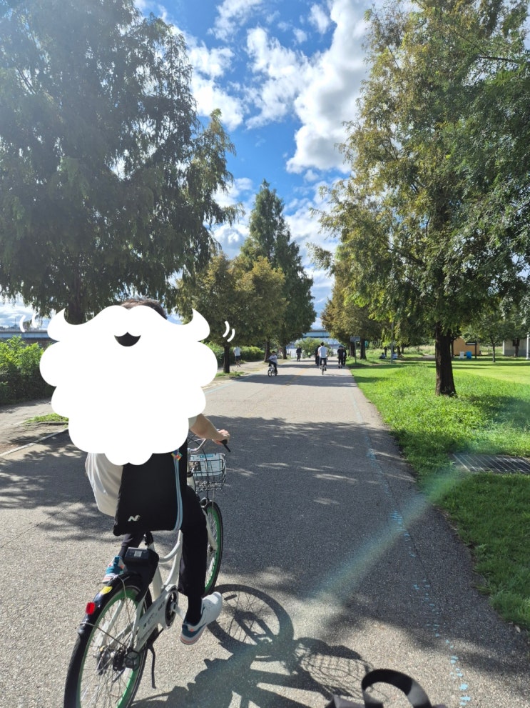 [주말일기] 뚝섬한강공원에서 따릉이 배드민턴까지 - 다이소 배드민턴 고급형 라켓, 셔틀콕 후기 : 네이버 블로그