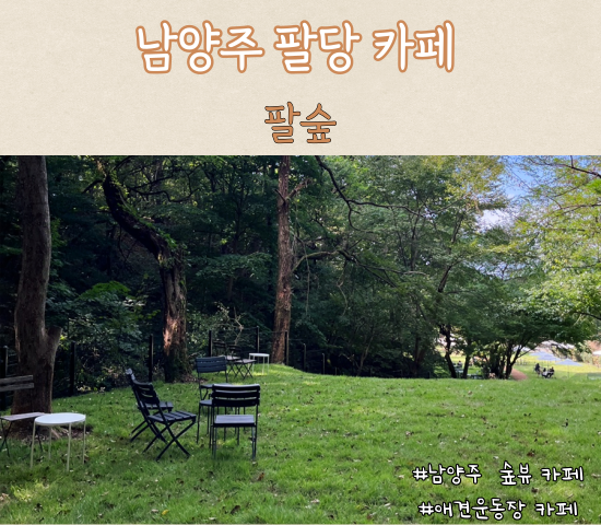 남양주 애견동반 카페 팔숲 분위기 솔직리뷰 네이버 블로그